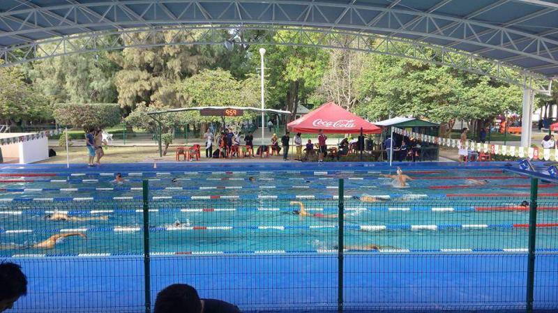 CONSIGUEN 12 MEDALLAS LOS HALCONES DEL ITTol EN EL LX EVENTO NACIONAL ...