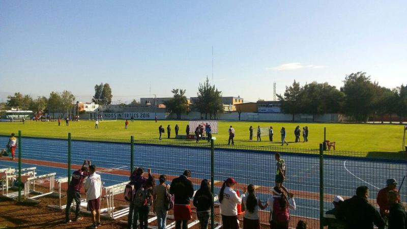 CONSIGUEN 12 MEDALLAS LOS HALCONES DEL ITTol EN EL LX EVENTO NACIONAL ...